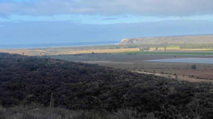 Prevén impacto económico, social y turístico con el proyecto del puerto ...